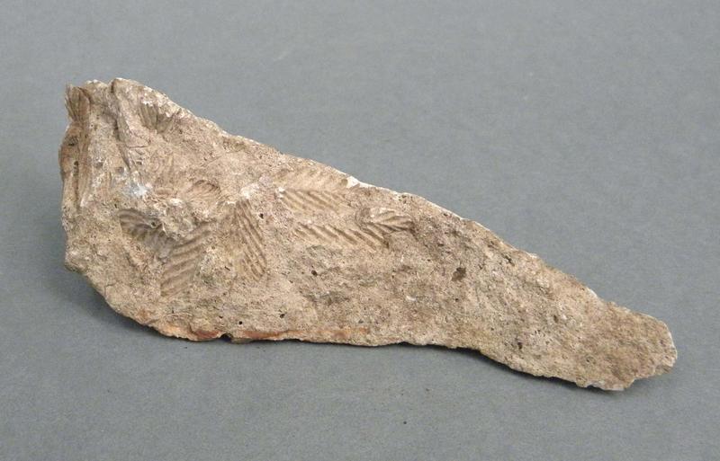 Mineral specimens - Te Awamutu Museum