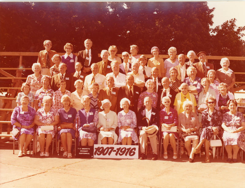 Te Awamutu Primary School Centennial - Te Awamutu Museum