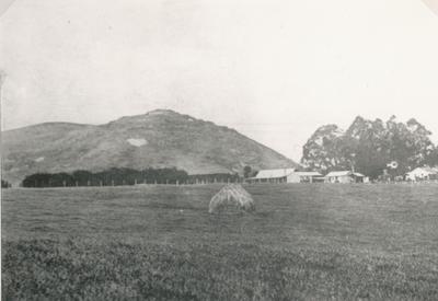 Farm - Te Awamutu Museum