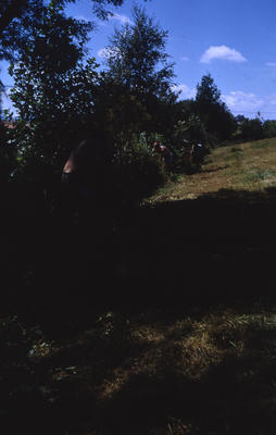 Slide - Te Awamutu Museum
