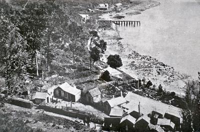 Photograph - Te Awamutu Museum