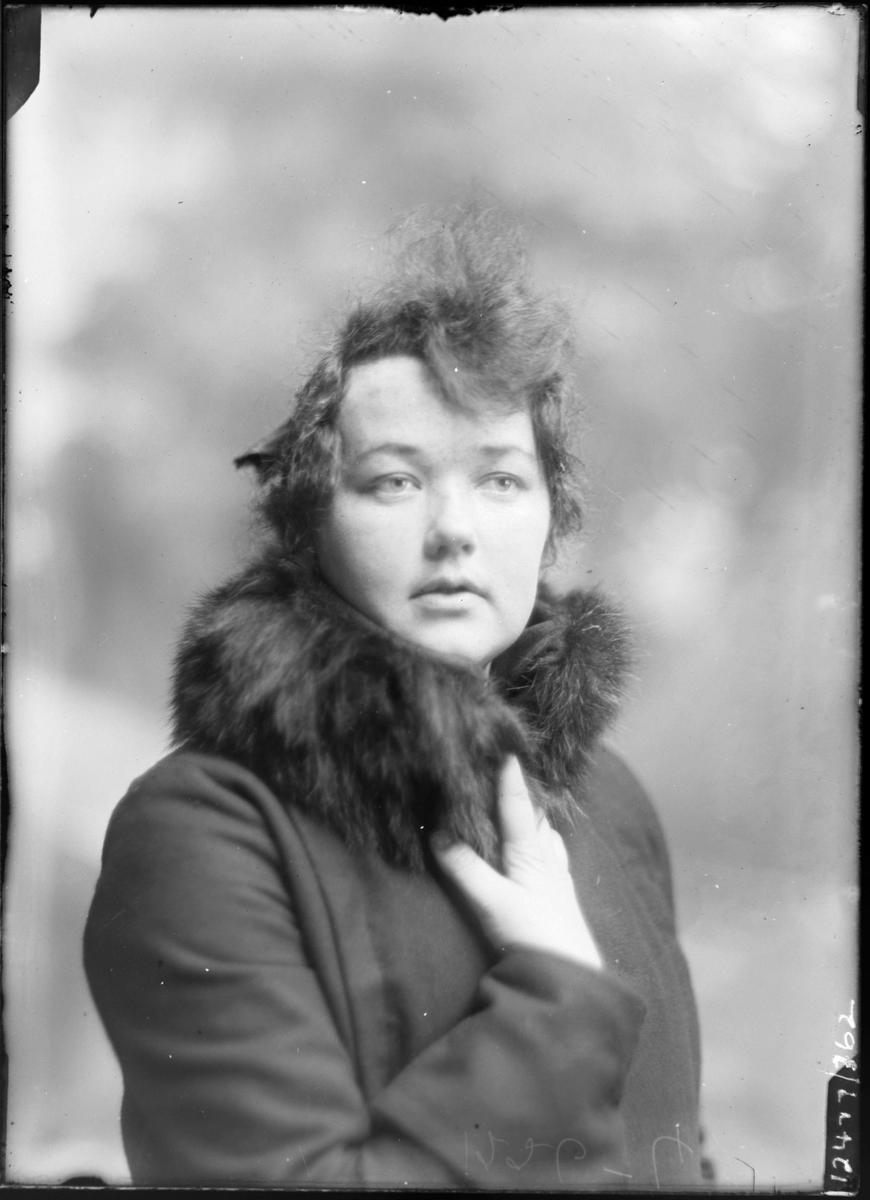 Glass-plate negative - Te Awamutu Museum