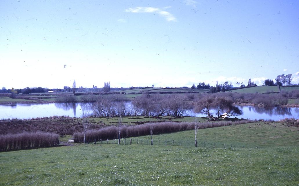 Site of archealogical dig - Te Awamutu Museum