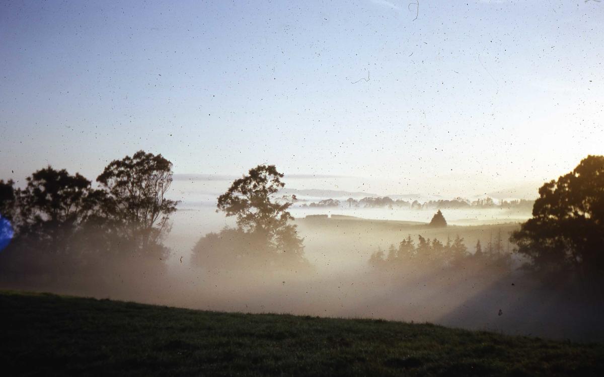 Slide - Te Awamutu Museum
