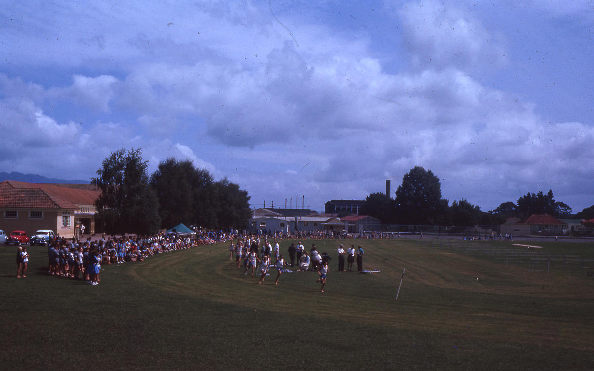 Slide - Te Awamutu Museum
