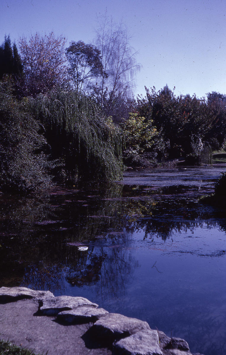 Slide - Te Awamutu Museum