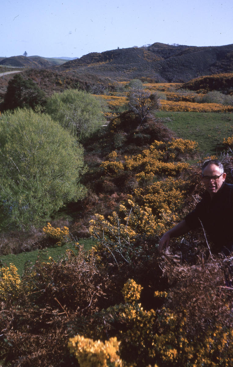 Slide - Te Awamutu Museum