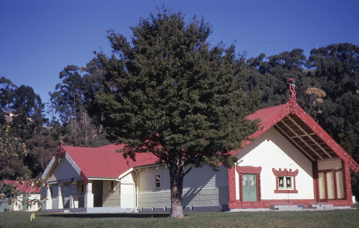 Slide - Te Awamutu Museum