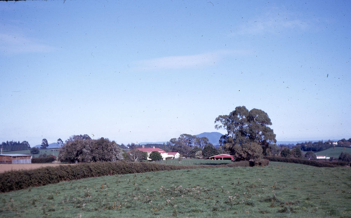 Slide - Te Awamutu Museum