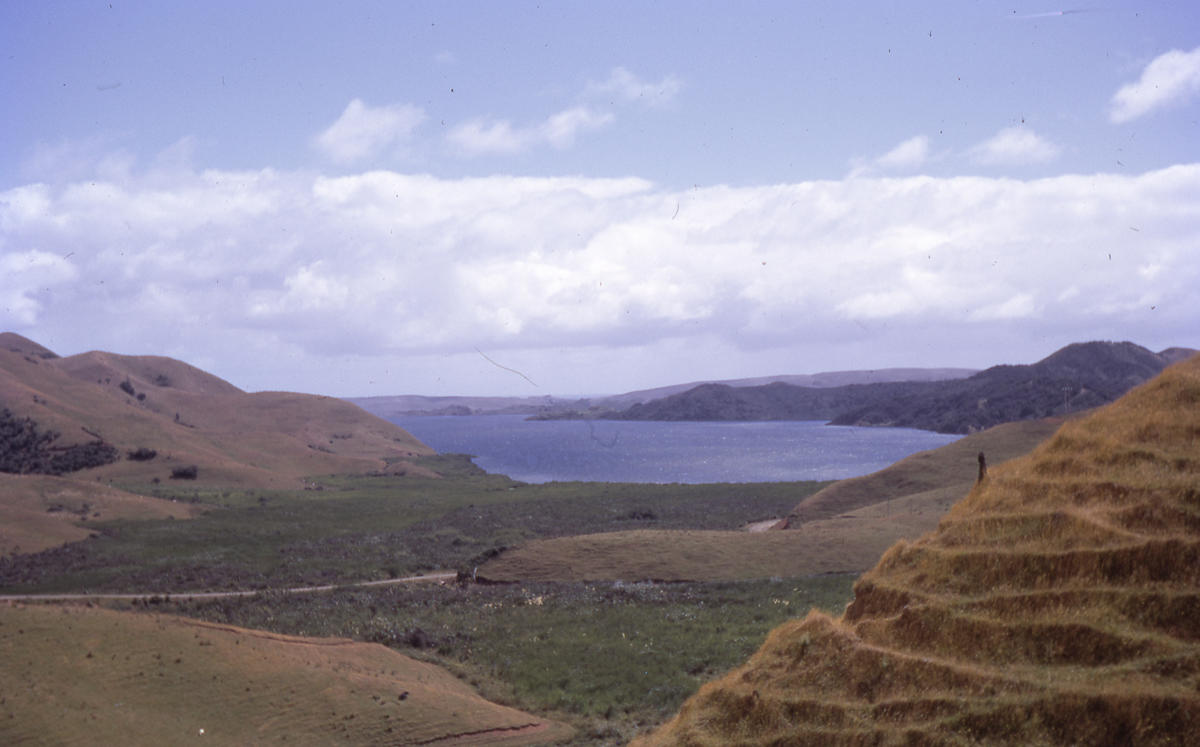 Slide - Te Awamutu Museum