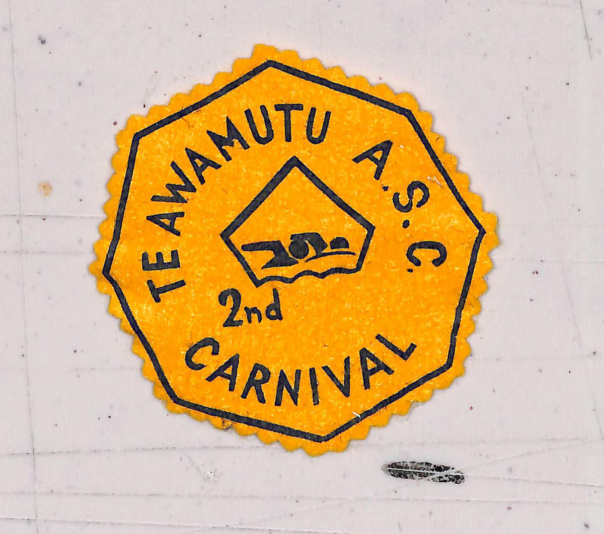 Ribbon - Te Awamutu Museum