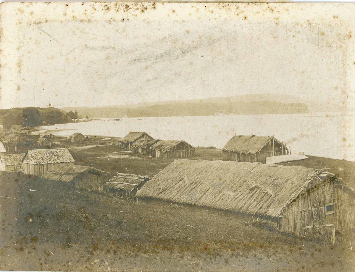 Maori Kainga - Te Awamutu Museum