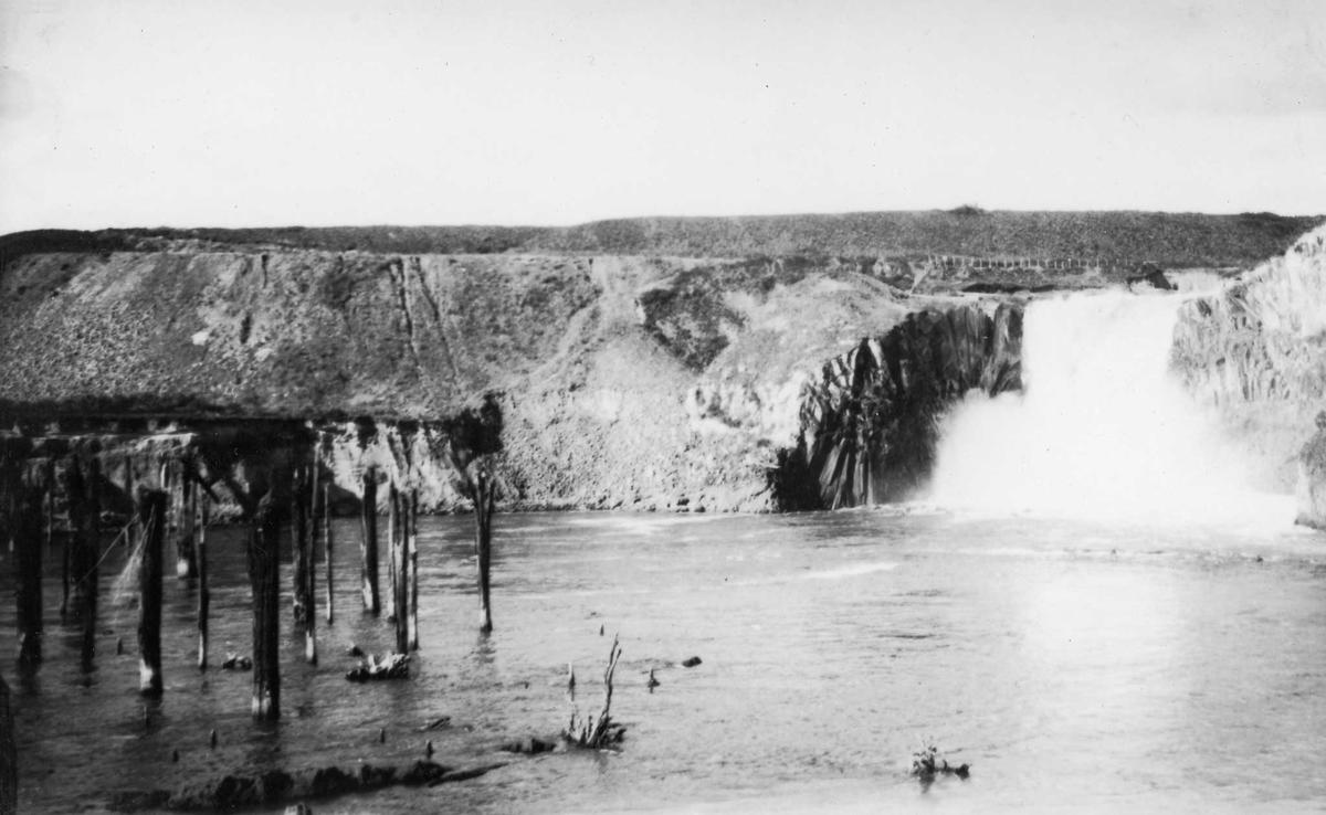 Arapuni buried forest and waterfall - Te Awamutu Museum