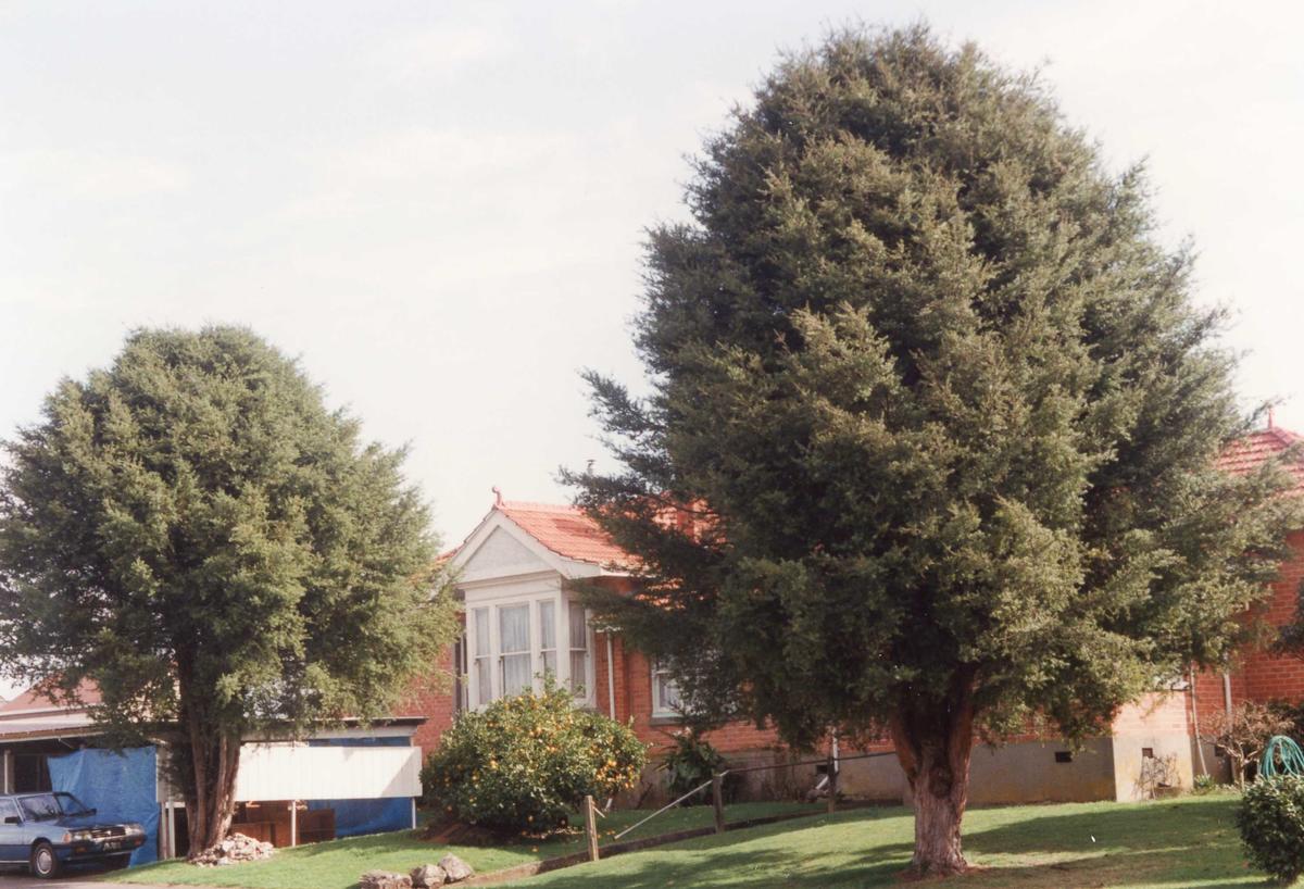 House - Te Awamutu Museum