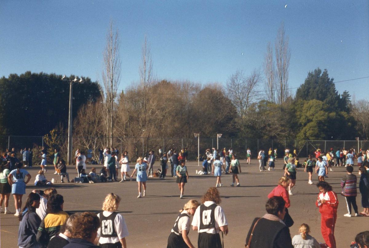 Netball Courts - Te Awamutu Museum