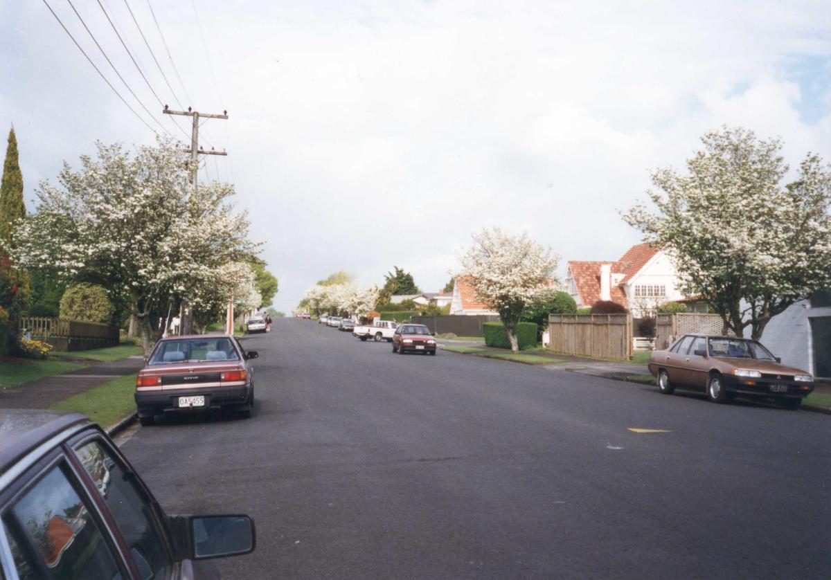 Street - Te Awamutu Museum