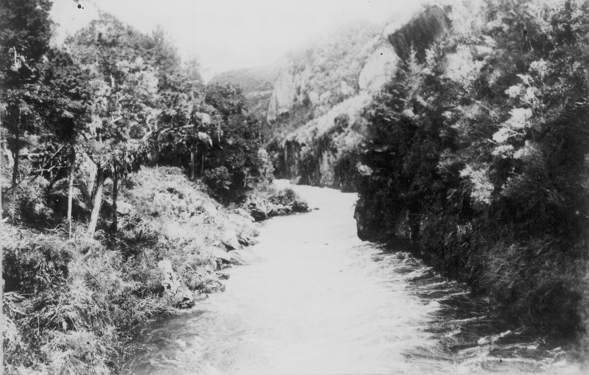 Arapuni Gorge - Te Awamutu Museum