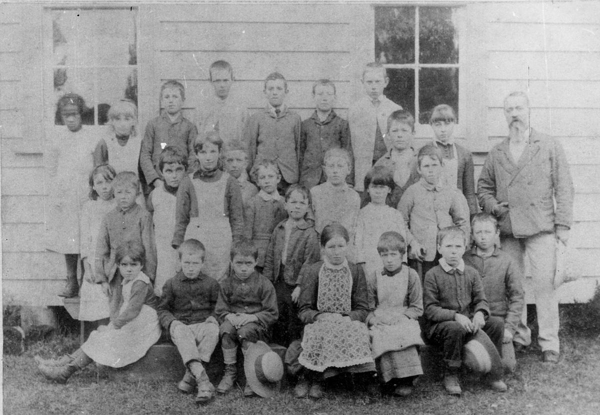 Te Rore School - Te Awamutu Museum