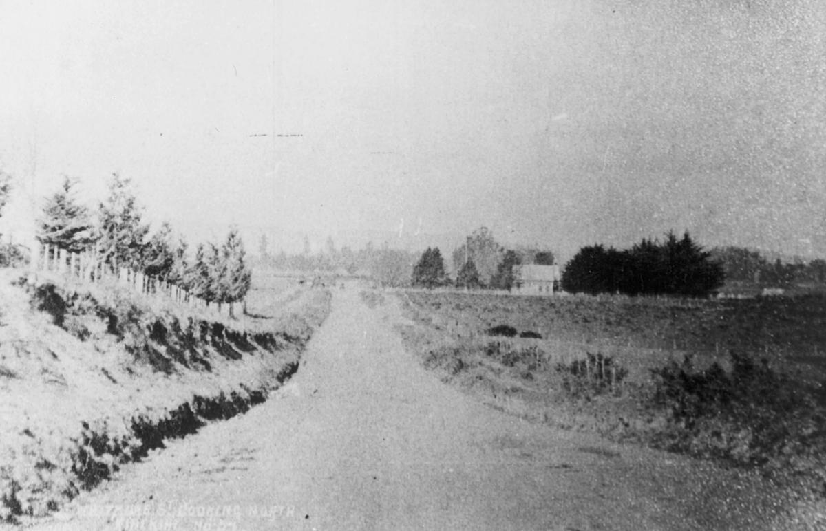 Whitmore Street - Te Awamutu Museum