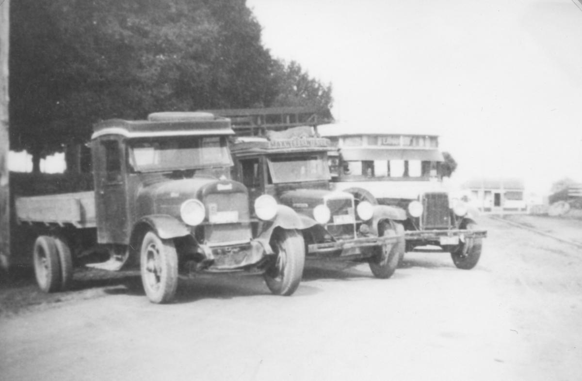 Maxwell & Wilson - Te Awamutu Museum