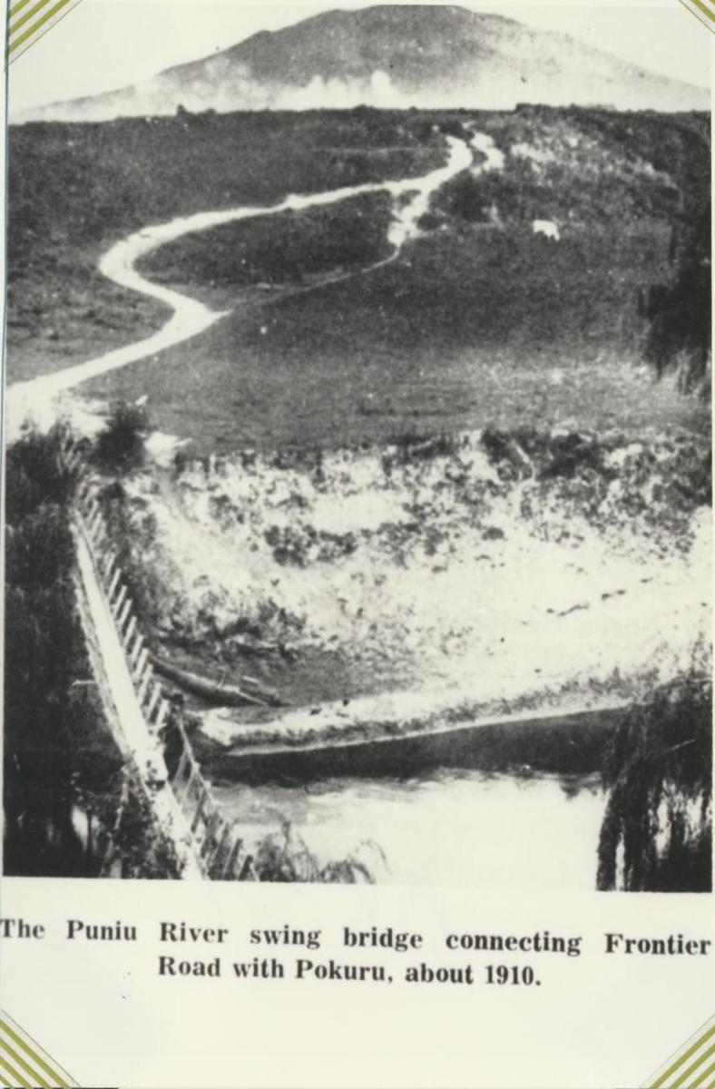 Swingbridge - Te Awamutu Museum