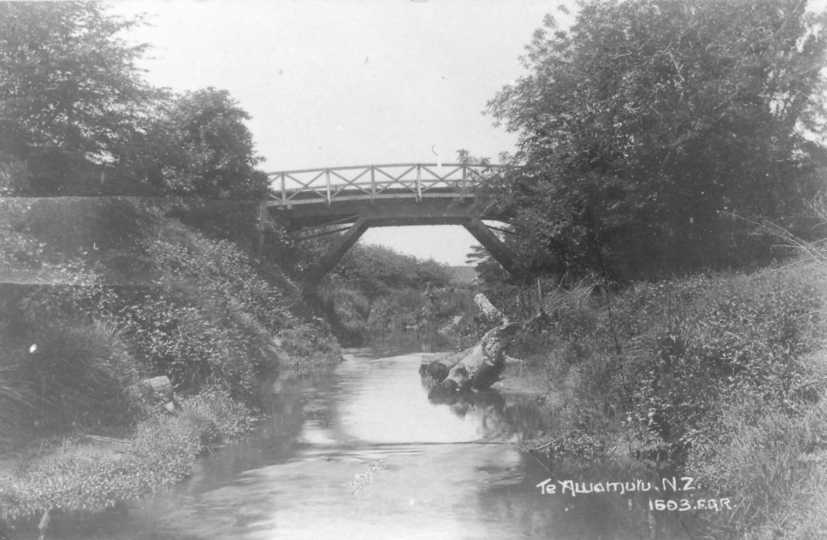 Arawata Street Bridge - Te Awamutu Museum